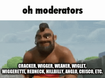 Oh moderators - Imgflip