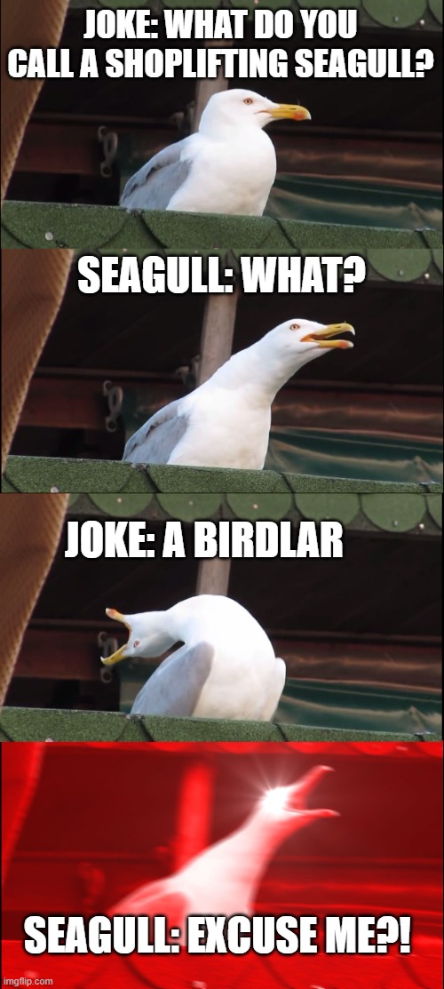 Seagull Gets mad of a Seagull joke - Imgflip