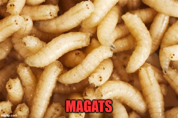 MAGATS - Imgflip