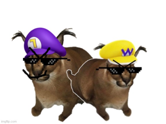 FlopWop and FlopWaop.mp3 - Imgflip