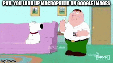 Macrophilia Memes Genome Wide Identification Of BHLH Transcription