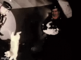 Cats zero gravity - Imgflip