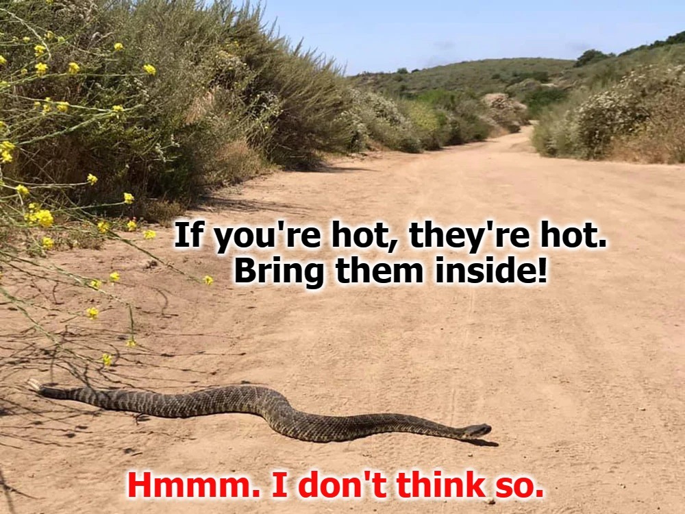 If you're hot, they're hot. Bring them inside! - Imgflip