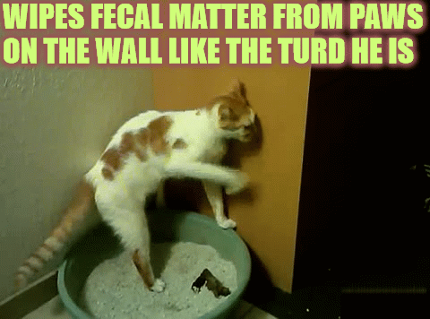 Fecal Walls - Imgflip