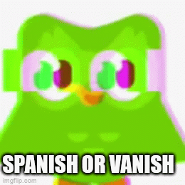 SPANISH OR VANISH - Imgflip