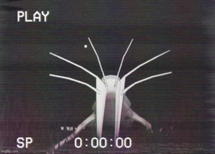 I like to think that VHS camera effects can spice up the weirdness ...