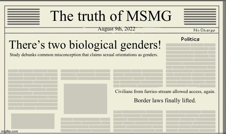 The truth of MSMG - Imgflip
