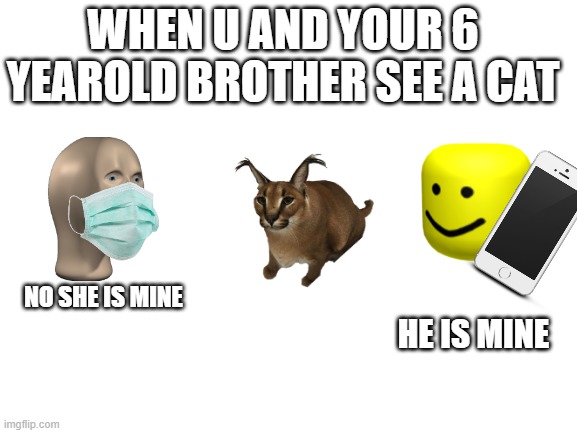 Blank White Template - Imgflip