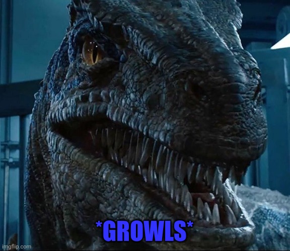 Caption this - Imgflip