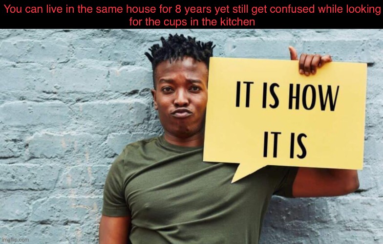 It is how it is - Imgflip