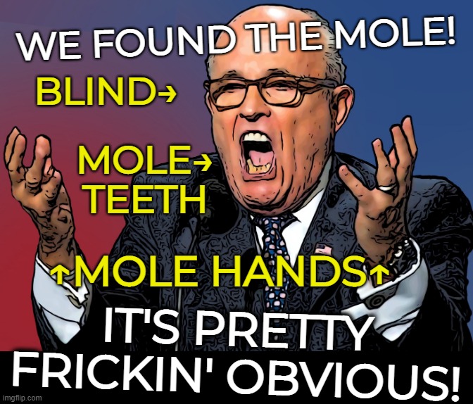 WE FOUND THE HAIR DYE SWEATING, SUB TERRANEAN 'HUMAN', SOUL-SELLING ...