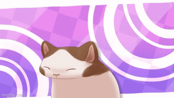 Bop Cat - Imgflip