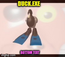 Duck because reasons - Imgflip