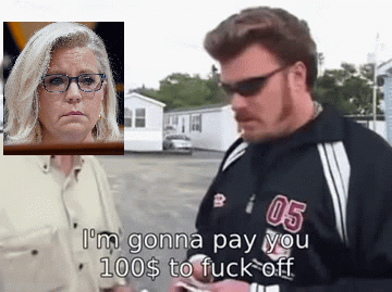 Happy Eff You Liz Cheney Day! - Page 11 - AR15.COM