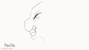 Animation practice - Imgflip