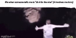 Image tagged in gifs,memes,shitpost,msmg,oh wow are you actually reading these tags,you have ...