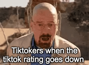 Tiktok in a Nutshell - Imgflip