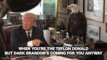 When You're the Teflon Donald But Dark Brandon's Coming For You Anyway ...