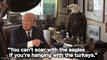 You can’t soar with the eagles if you’re hanging with the turkeys meme ...