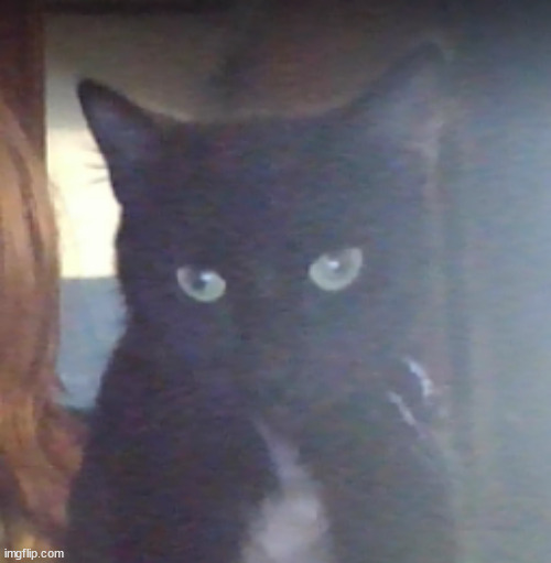 kit the other one - Imgflip