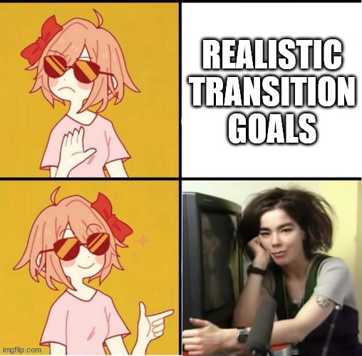 Image Tagged In Realistic Transition Goals Format Imgflip
