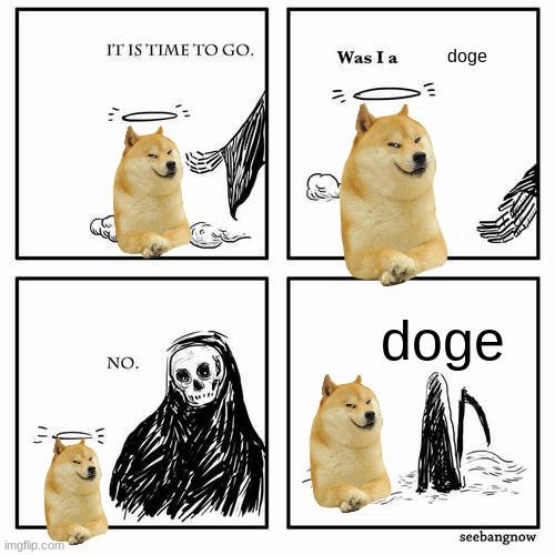 doge - Imgflip