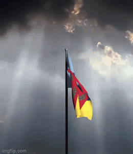 Animated GIF - Imgflip