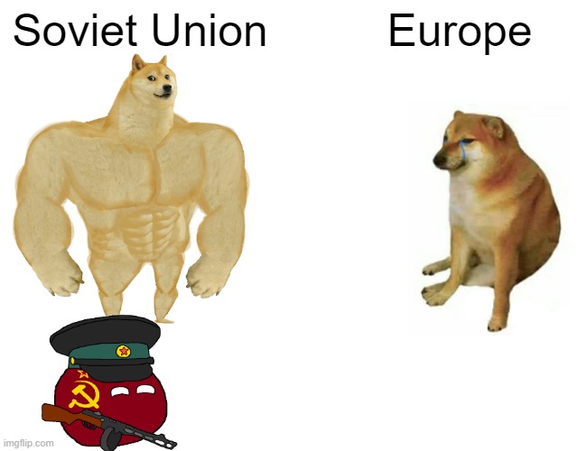 Buff Doge vs. Cheems Meme - Imgflip