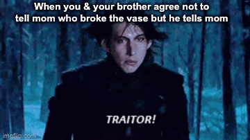 Image tagged in gifs,traitor - Imgflip