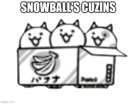 aaaaaaawwww - Imgflip