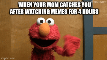 Late Night Elmo - Imgflip