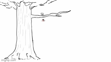 Animated GIF - Imgflip