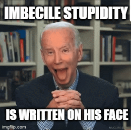 "imbecile stupidity written on his face" - Imgflip