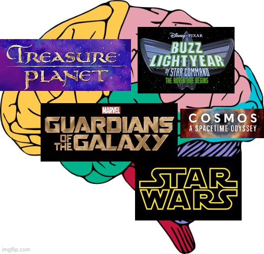 Brain Sections - Imgflip