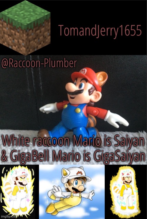 Image tagged in raccoon-plumber s announcement template - Imgflip