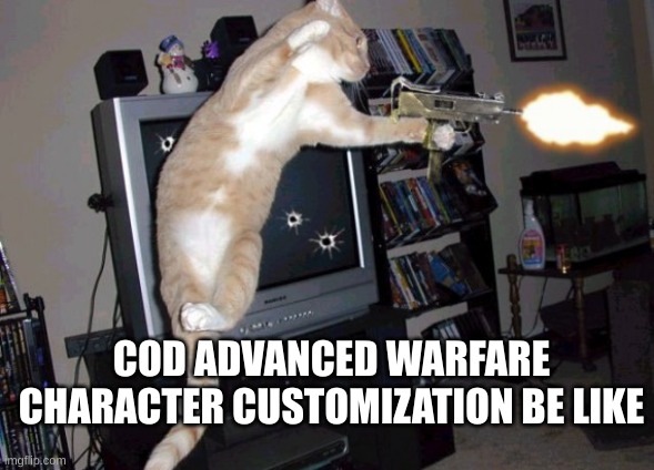 CALL OF DUTY KITTY STYLE - Imgflip