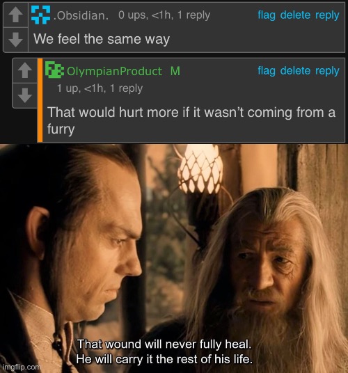 Image tagged in that wound will never fully heal - Imgflip