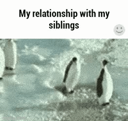 Image tagged in gifs,siblings - Imgflip