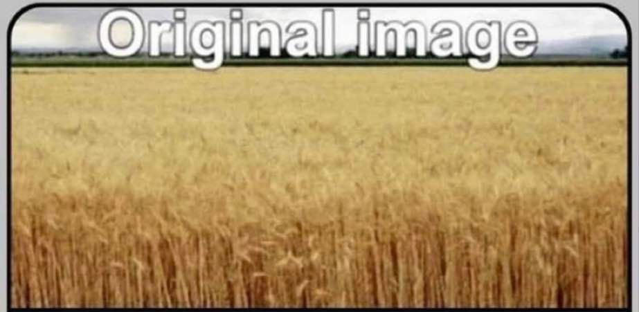Grainy Blank Template - Imgflip
