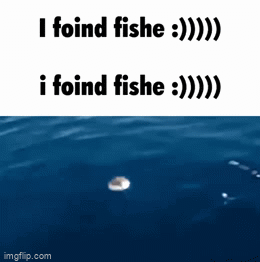 Animated GIF - Imgflip
