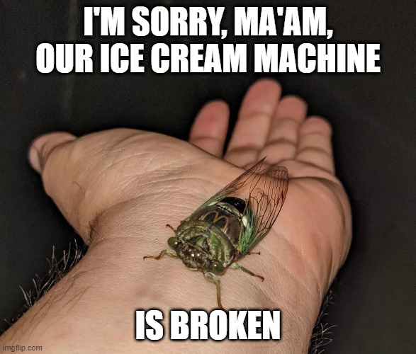 McDonald's CIcada - Imgflip