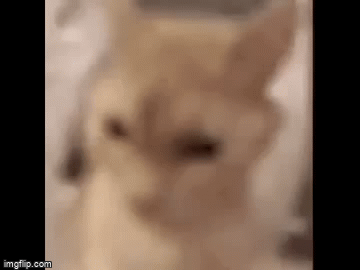 I am incredibly mentally unstable - Imgflip