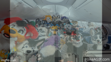 Furries eliminated, task accomplished - Imgflip