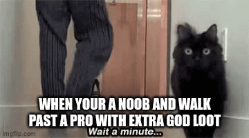 nub want good - Imgflip