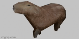 capybara walk - Imgflip