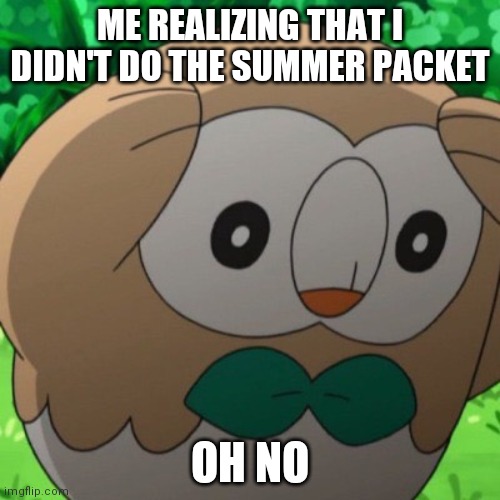 Rowlet Meme Template - Imgflip