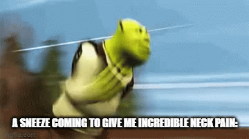 a sneeze also can break your ribcage btw - Imgflip