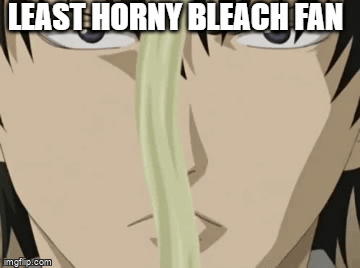 Least horny bleach fan - Imgflip