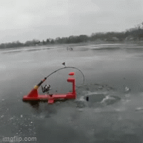 When You Simply Miss the Fish - Imgflip