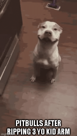 arf arf woof woof - Imgflip